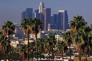 The KickingTires Guide to the L.A. Auto Show | Cars.com